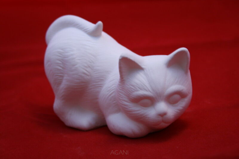 Kot filemon przyczajony